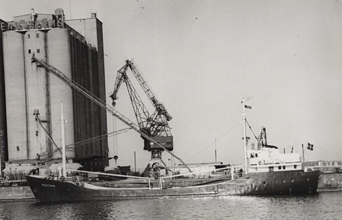 Lastmotorfartyget GOTHA av Århus, Danmark, i Malmö hamn febr. 1965 ...