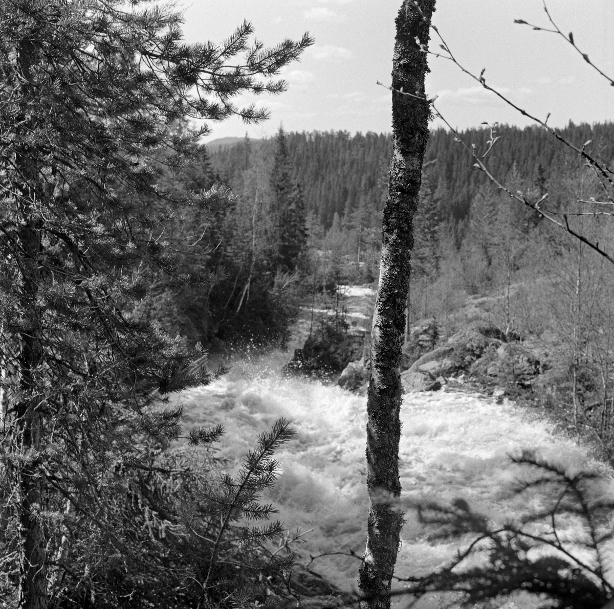 Langfossen i Fallåa, Romedal. Stange, Hedmark. - Anno Norsk skogmuseum ...